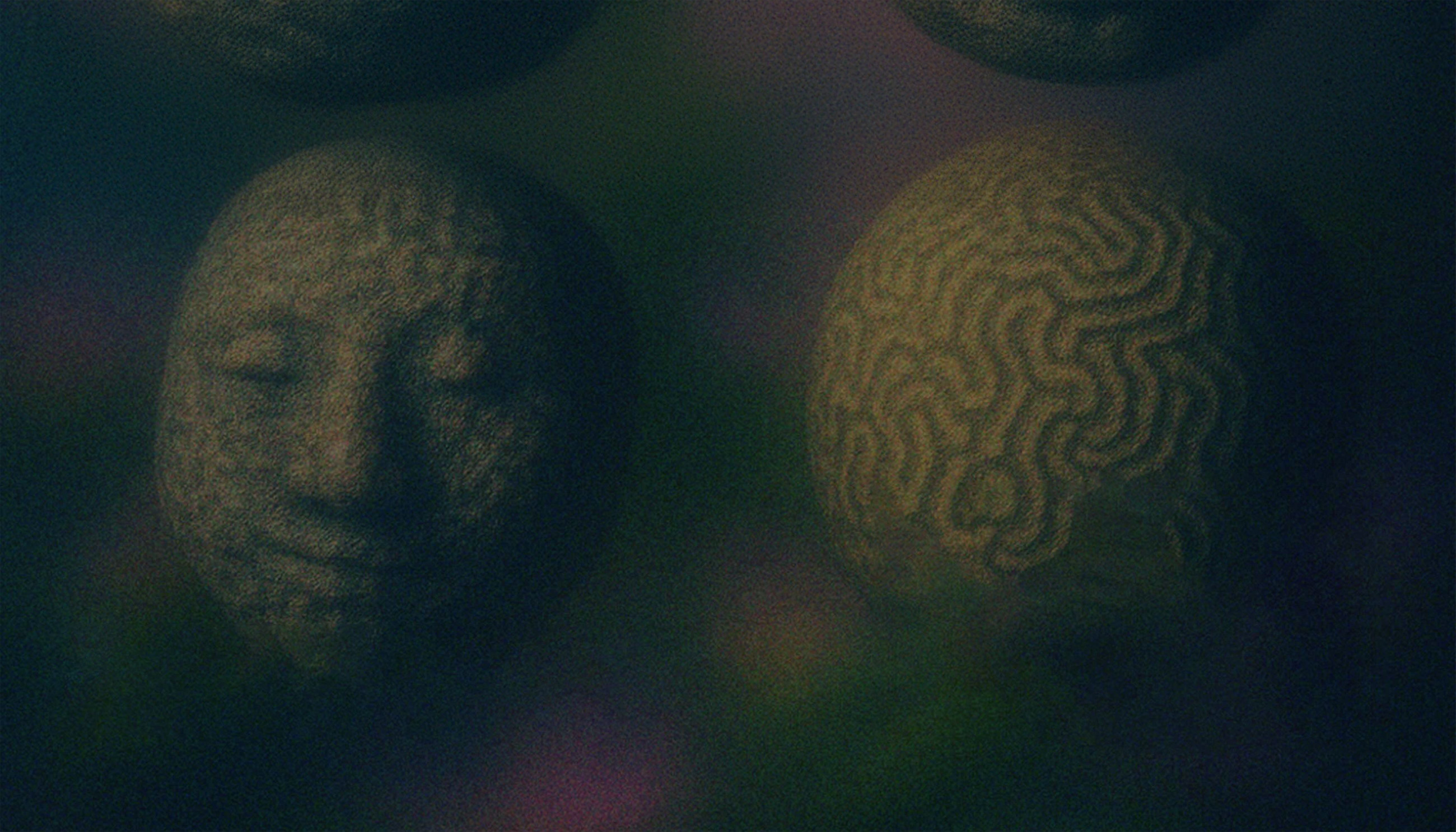 Interactive Media Arts | NYU Shanghai IMA